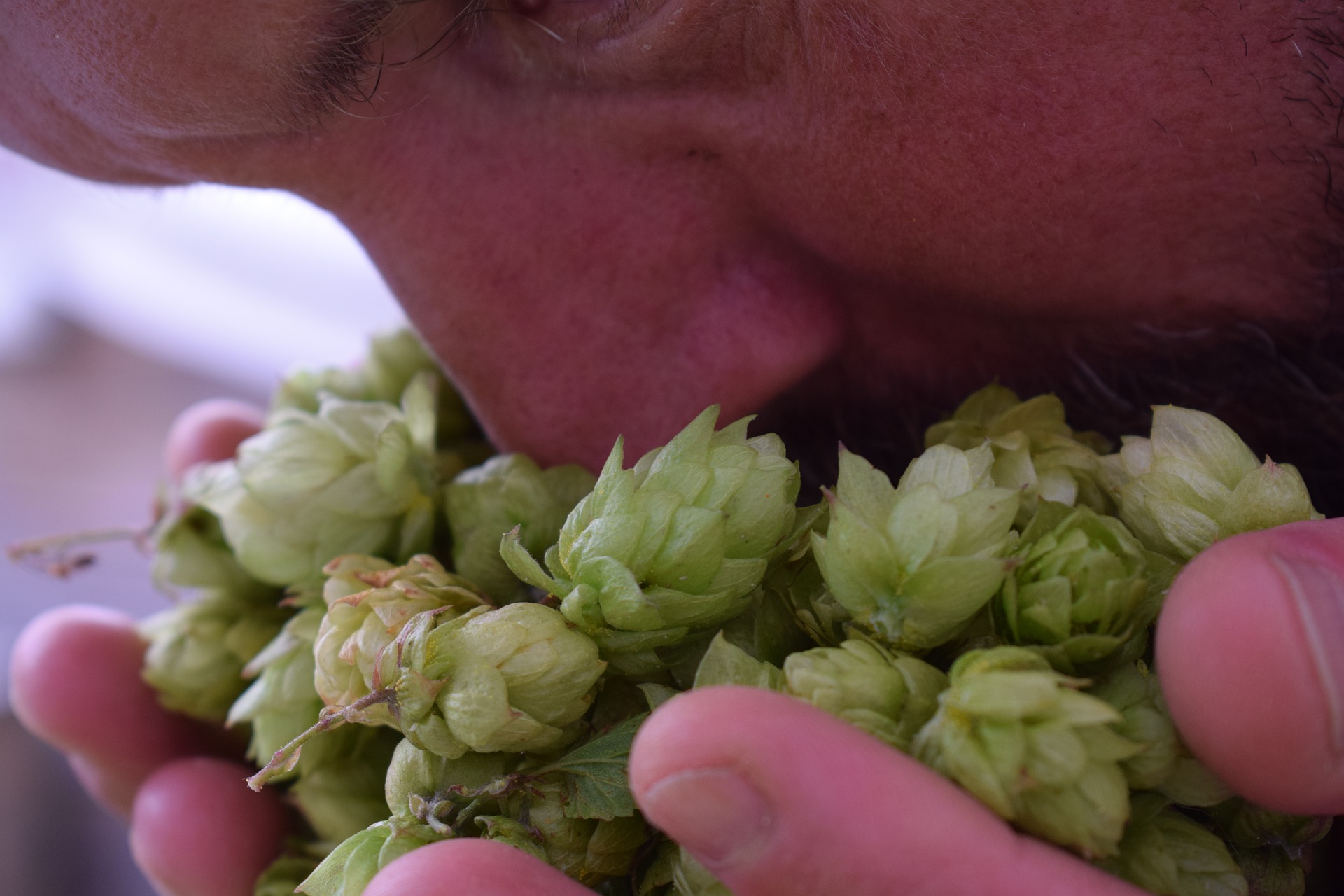 Unlocking hop flavours | Pursuit of Hoppiness