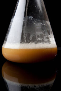 Homebrewing — Dry Vs Liquid Yeast | Pursuit of Hoppiness